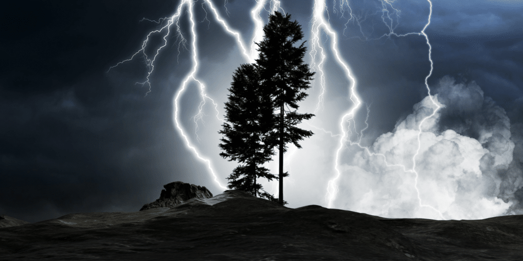 AI in Disaster Management: Predicting and Mitigating Natural Disasters ...